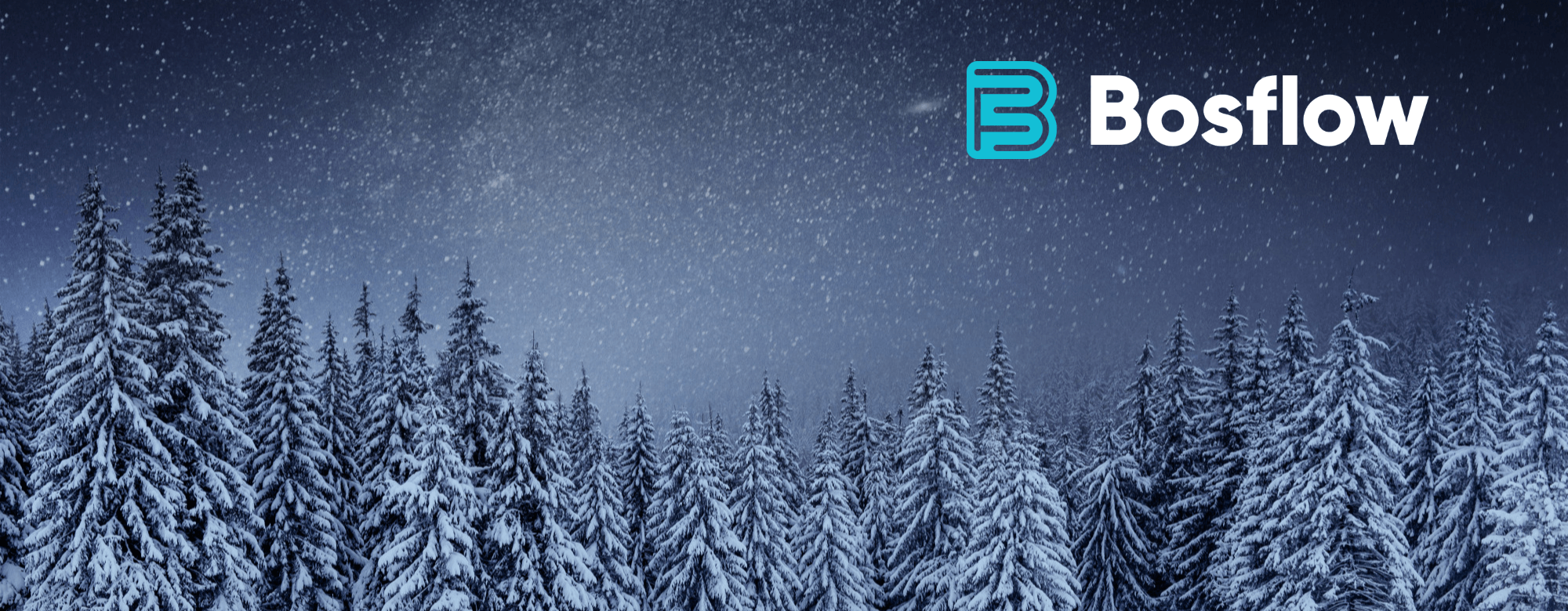 Najlepsze życzenia od Business Online Services! - Bosflow